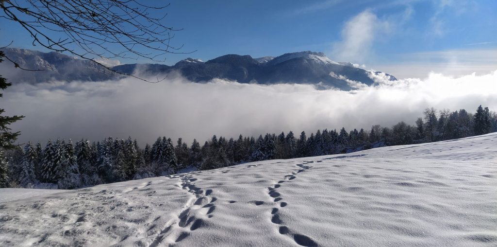 froid – respiration – mouvement – lapierresouslebois